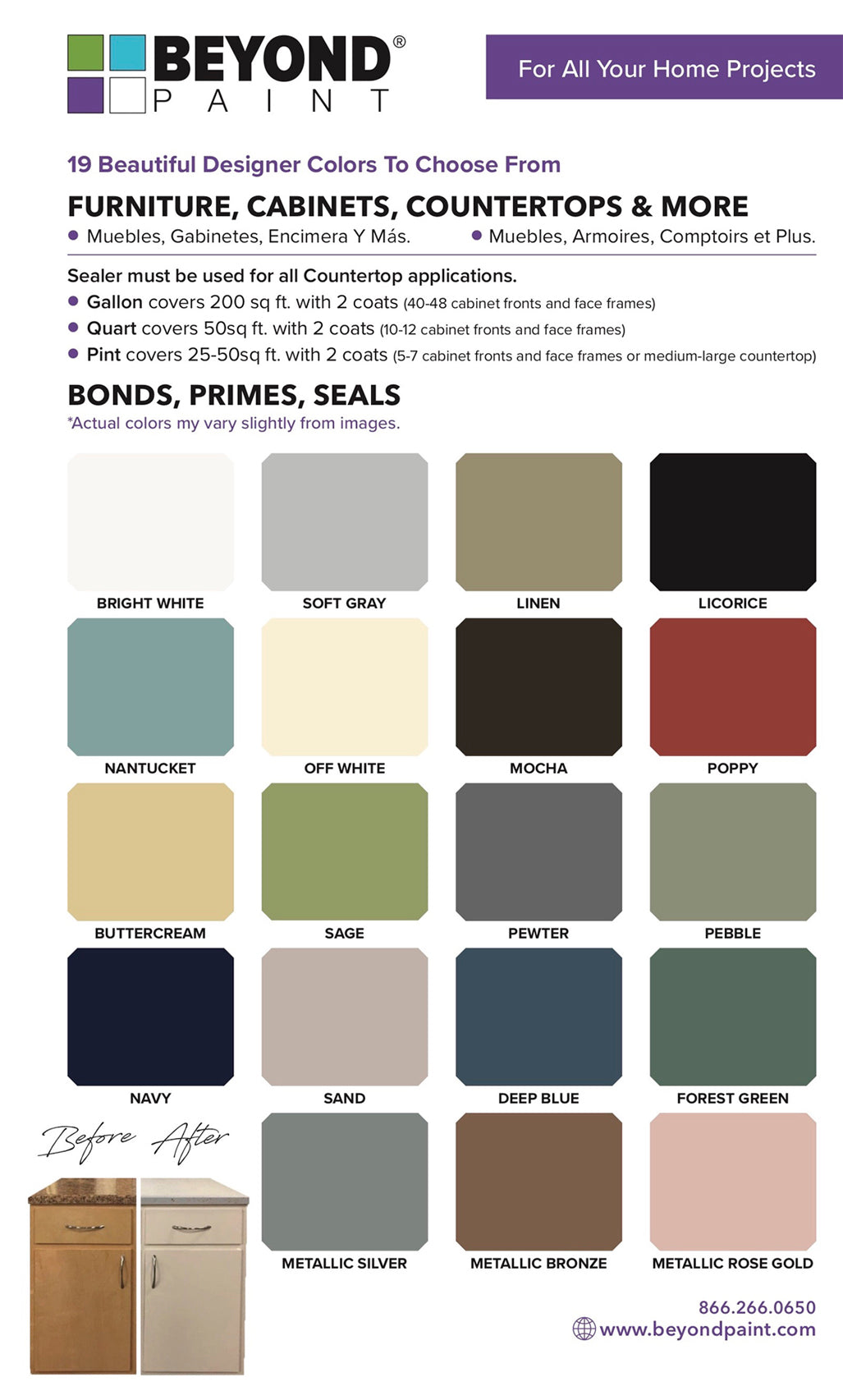 BEYOND PAINT® Color Card